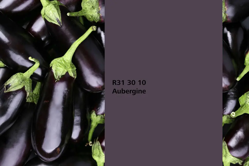 50 neue Sto Wandfarben | Farbpalette Interior Colors 24+