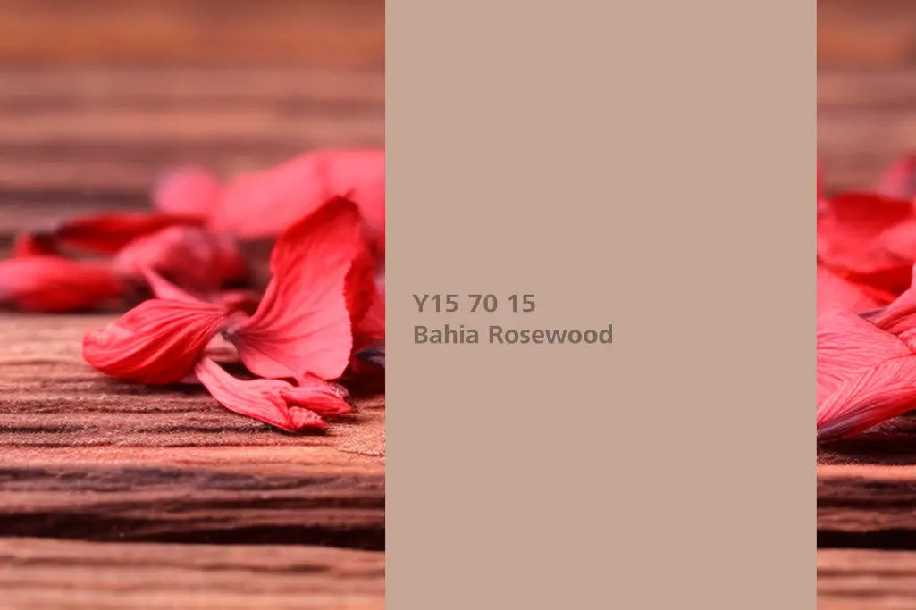 50 neue Sto Wandfarben | Farbpalette Interior Colors 24+