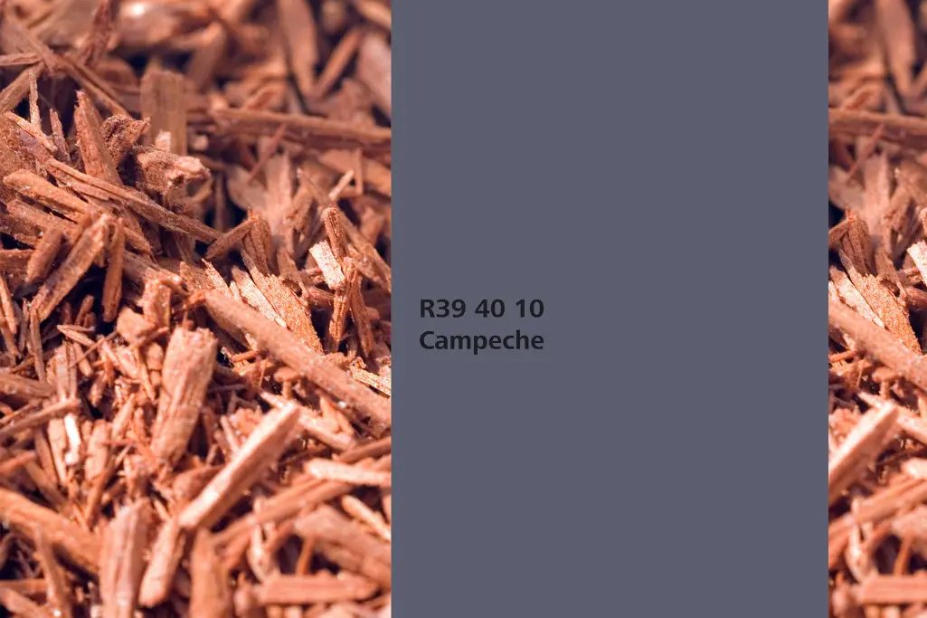 50 neue Sto Wandfarben | Farbpalette Interior Colors 24+