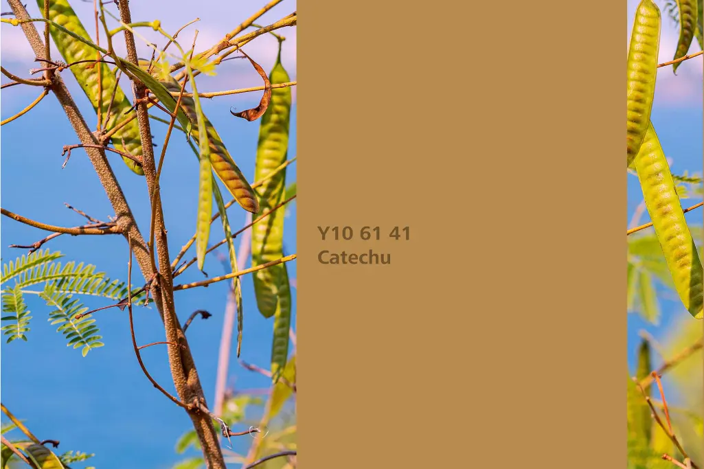 50 neue Sto Wandfarben | Farbpalette Interior Colors 24+