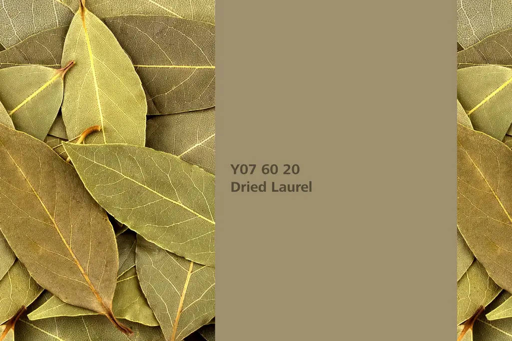 50 neue Sto Wandfarben | Farbpalette Interior Colors 24+