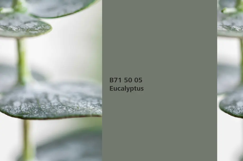 50 neue Sto Wandfarben | Farbpalette Interior Colors 24+