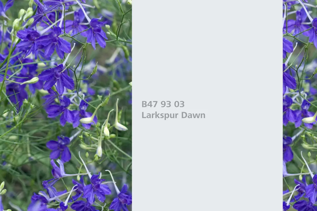 50 neue Sto Wandfarben | Farbpalette Interior Colors 24+