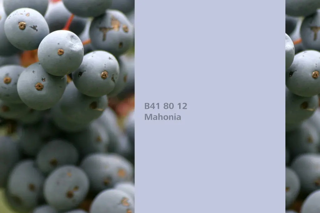 50 neue Sto Wandfarben | Farbpalette Interior Colors 24+