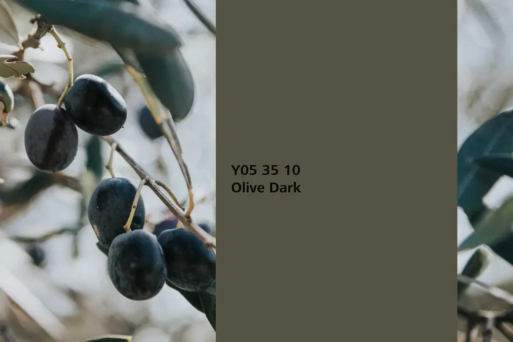 50 neue Sto Wandfarben | Farbpalette Interior Colors 24+