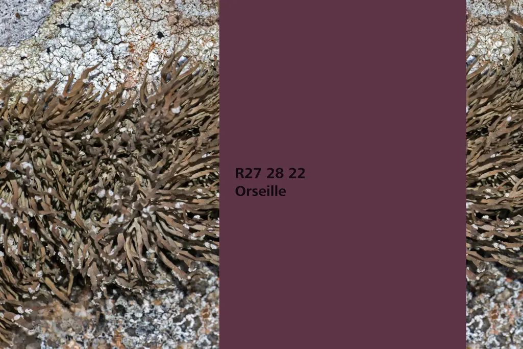 50 neue Sto Wandfarben | Farbpalette Interior Colors 24+