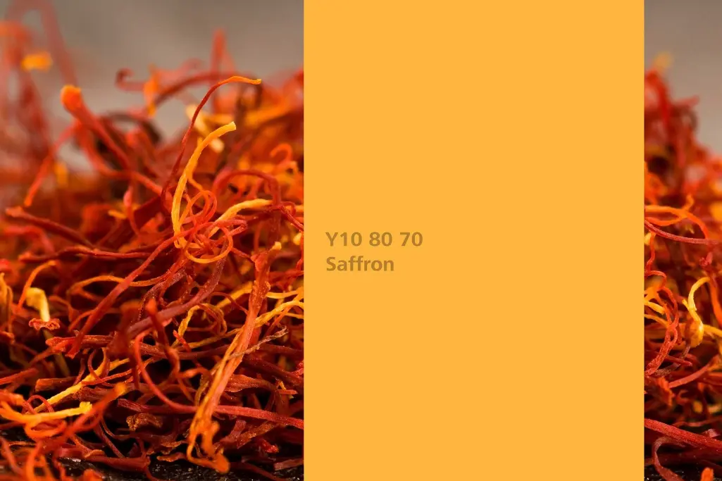 50 neue Sto Wandfarben | Farbpalette Interior Colors 24+