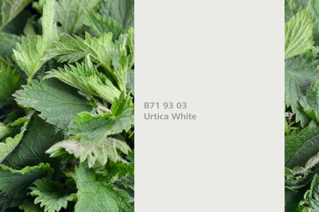 50 neue Sto Wandfarben | Farbpalette Interior Colors 24+