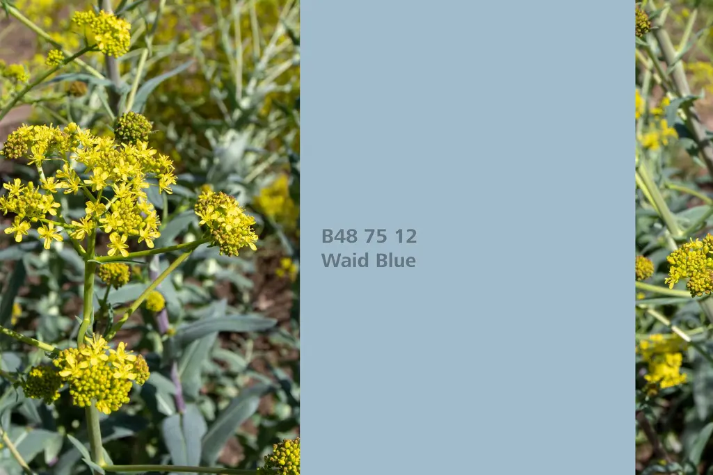 50 neue Sto Wandfarben | Farbpalette Interior Colors 24+