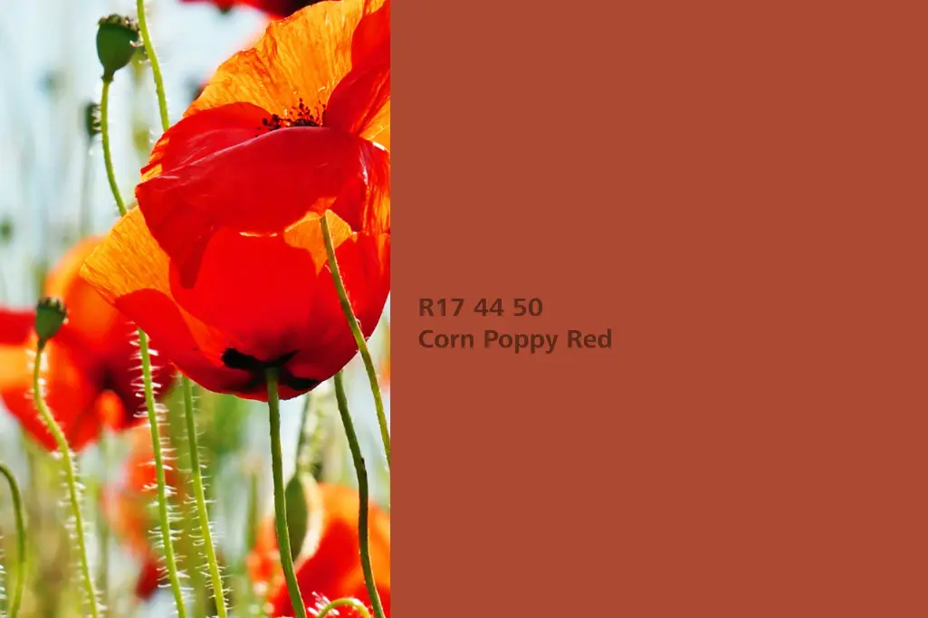 StoColor System – über 1000 Farbtöne möglich | Sto