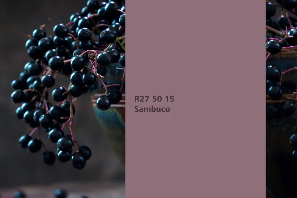 Alle 50 Farbtöne Interior Colors 24+in der Übersicht