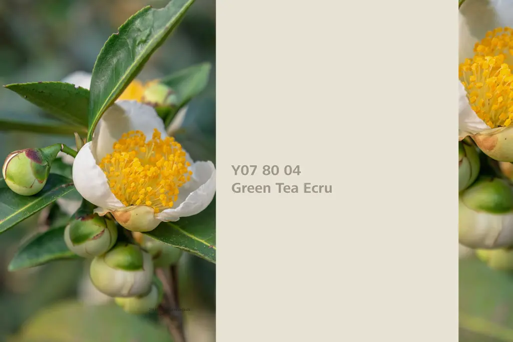 Alle 50 Farbtöne Interior Colors 24+in der Übersicht