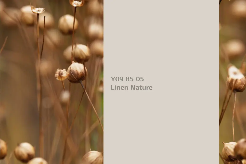 Alle 50 Farbtöne Interior Colors 24+in der Übersicht