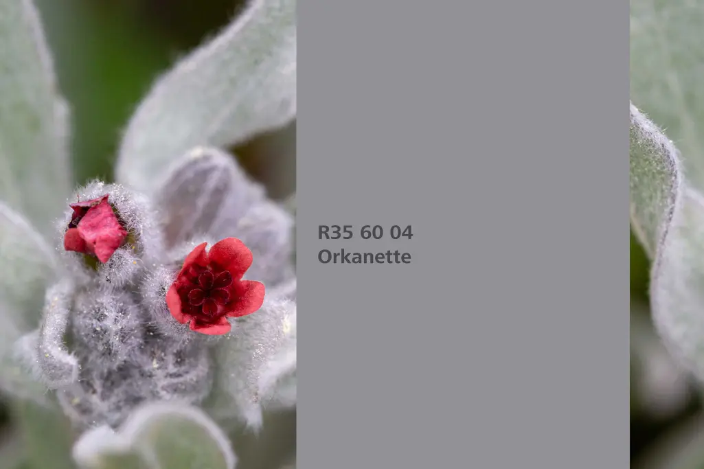 Alle 50 Farbtöne Interior Colors 24+in der Übersicht