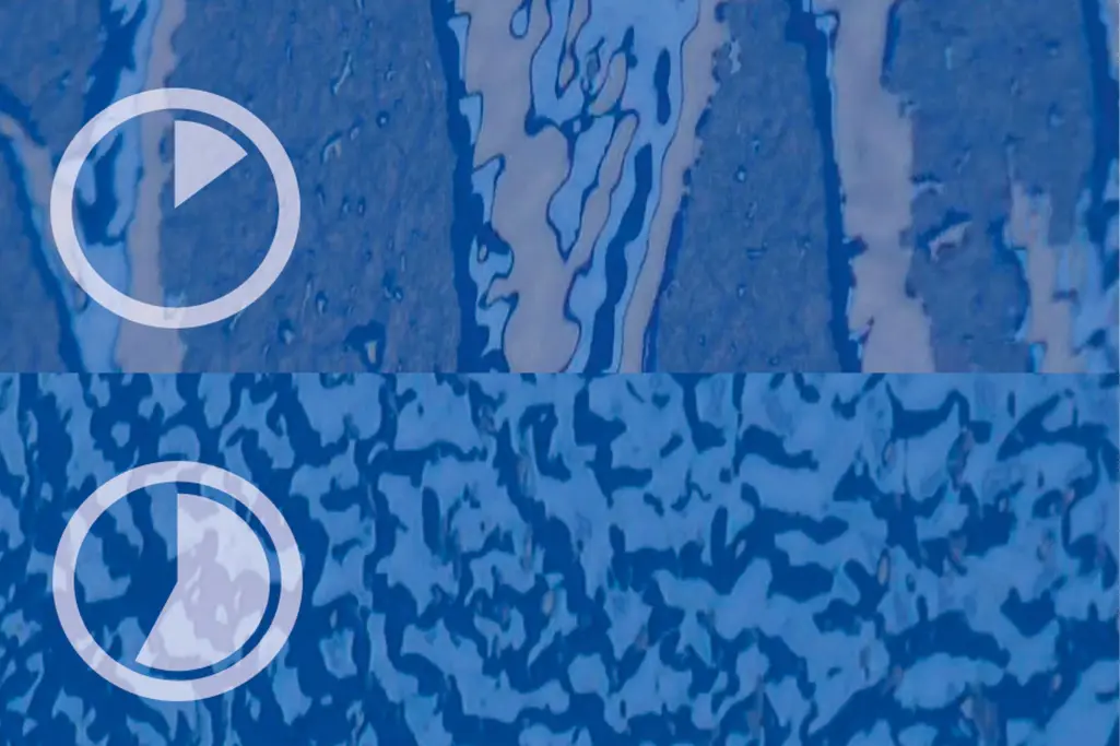 StoColor Dryonic | STO